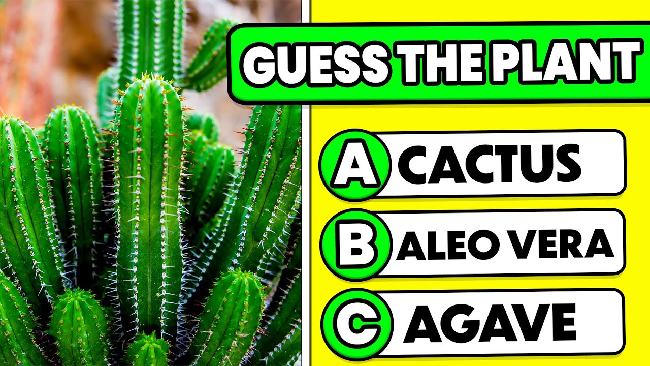 🌿 How Many Plants Do You Know? 🌵🌻🌹 | Botany Quiz - Guess the Plant 🌿