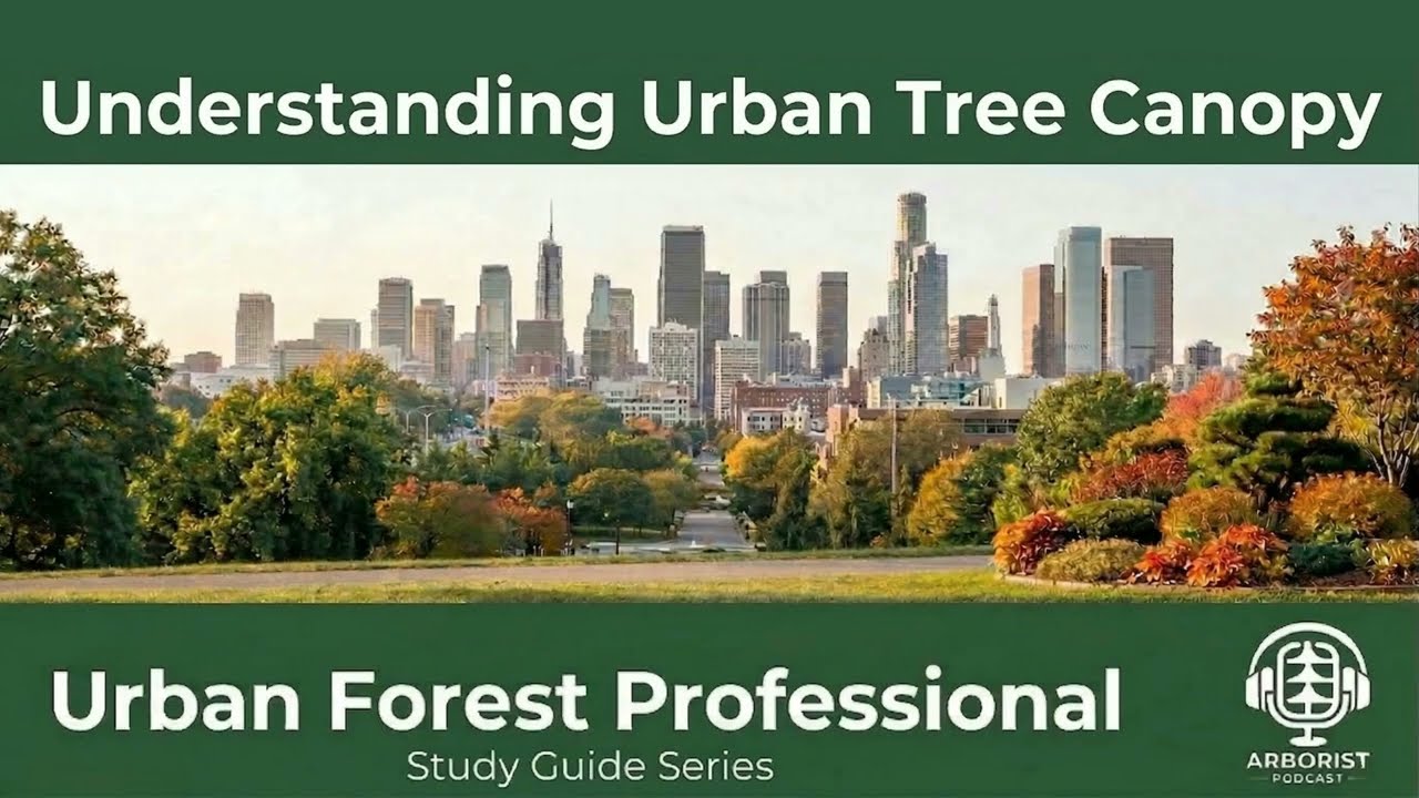Why Your Neighborhood is Hotter Than Others: Tree Canopy Explained (Ep.3)#UrbanForestry #TreeCanopy