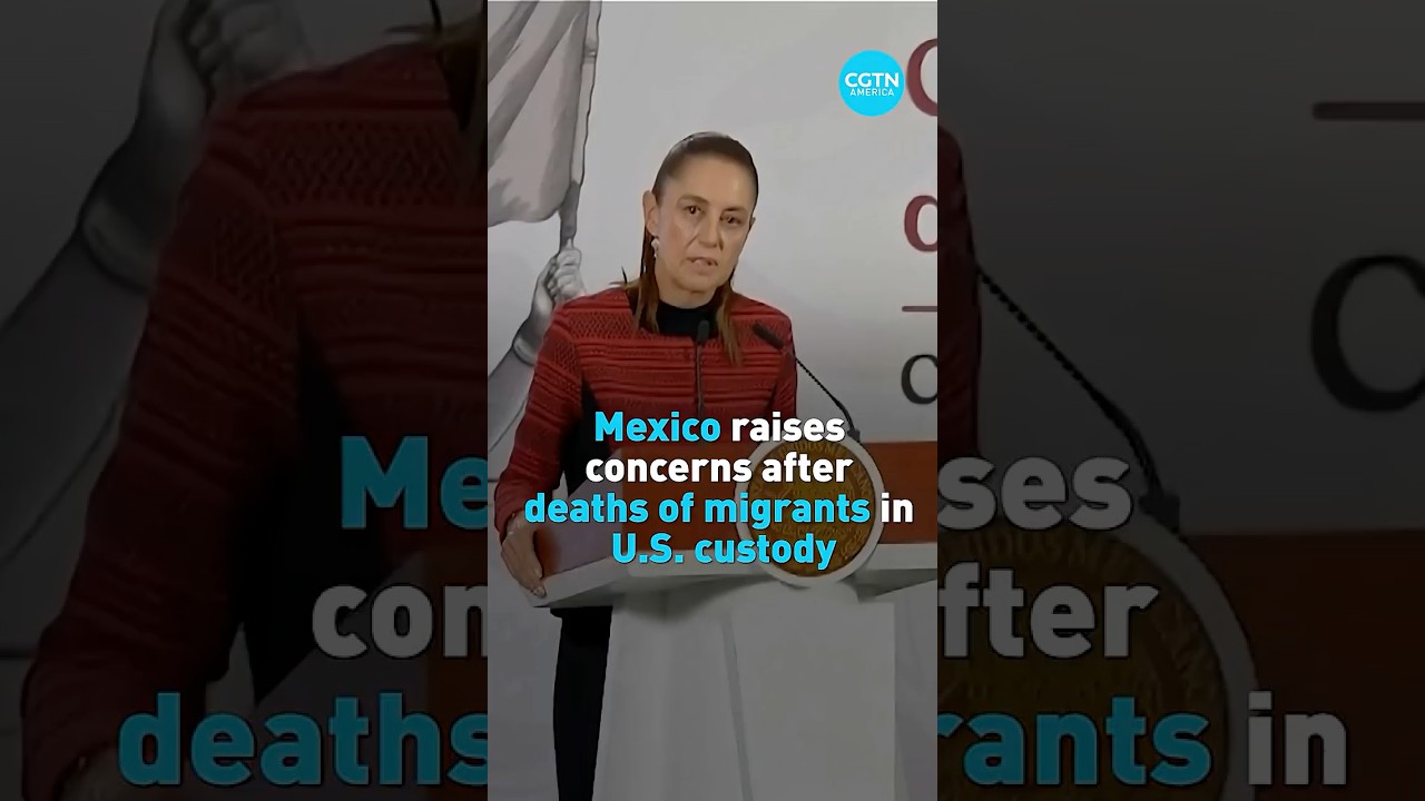 Mexico raises concerns after deaths of migrants in US custody