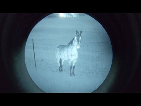 Jerry C5 thermal