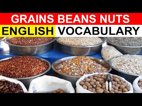 GRAINS BEANS NUTS ENGLISH VOCABULARY (WORD LIST) PICTURES, EXAMPLES, PRONUNCIATIONS