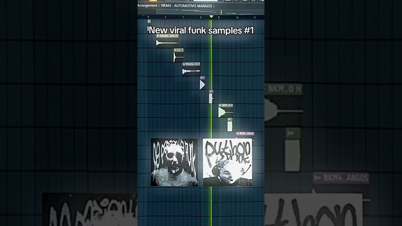 Viral funk samples  #brazil #Brazilianfunk #funk