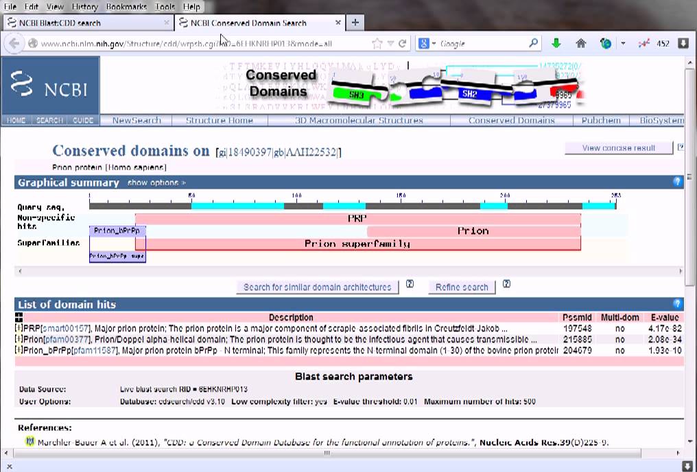 Bioinformatics prac 3 Conserved domain search