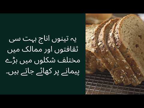Most Popular Food in the World - Food Max