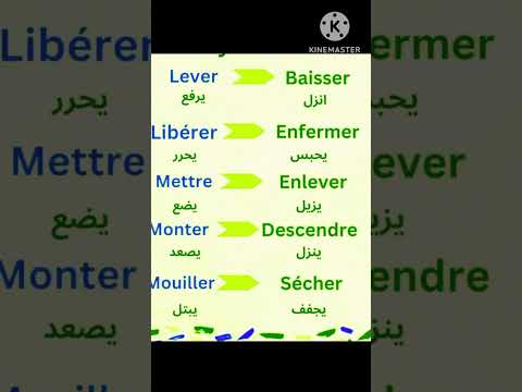 les antonymes (contraire