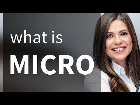 Micro • what is MICRO definition