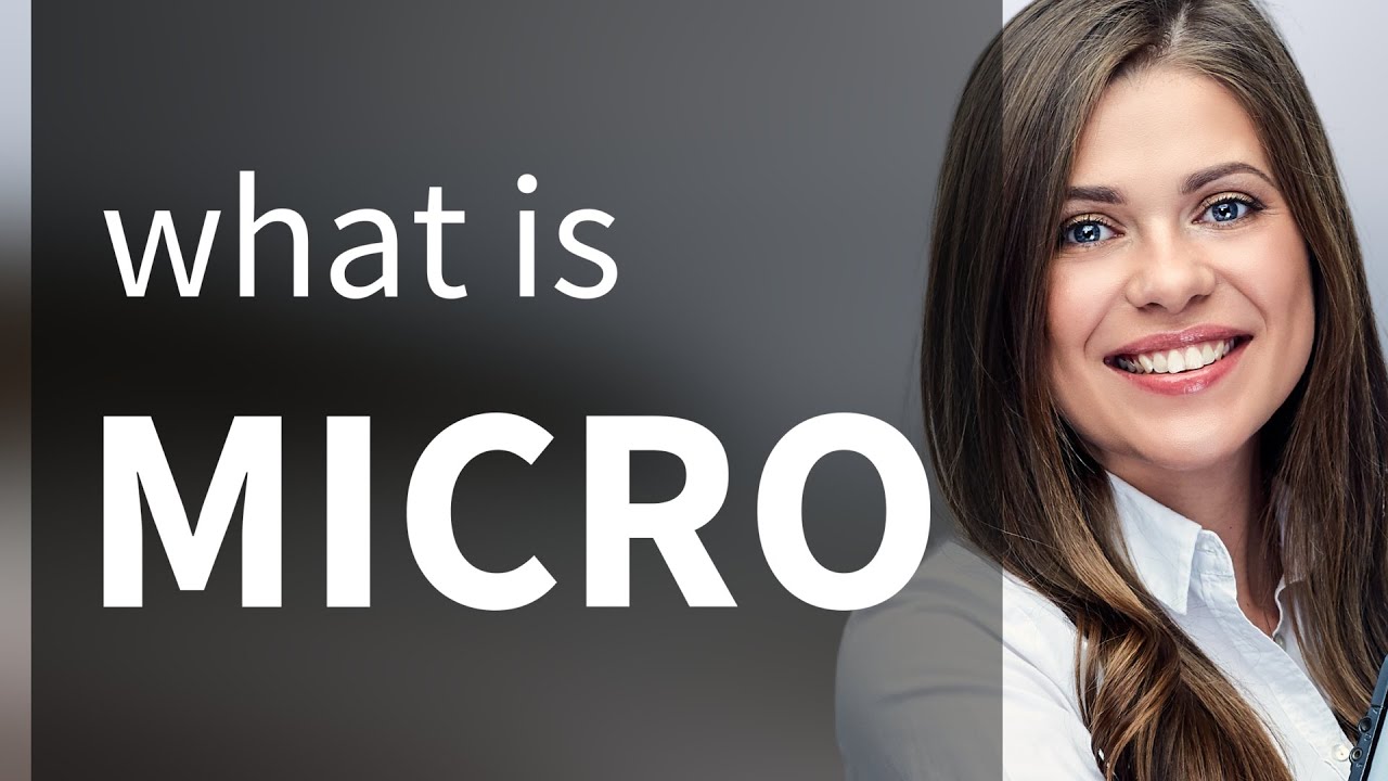 Micro • what is MICRO definition