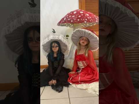 DIY mushroom hats!