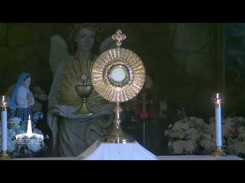 Wednesday June 18th The Rosary and Mass from The Blue Army Shrine of Our Lady of Fatima