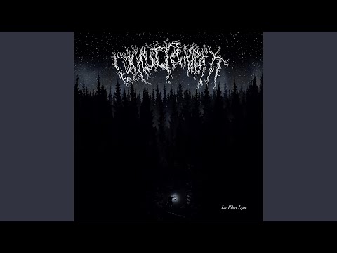 Lunatics - Mondsüchtig