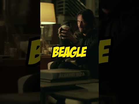 The puppy that changed John Wick's life forever