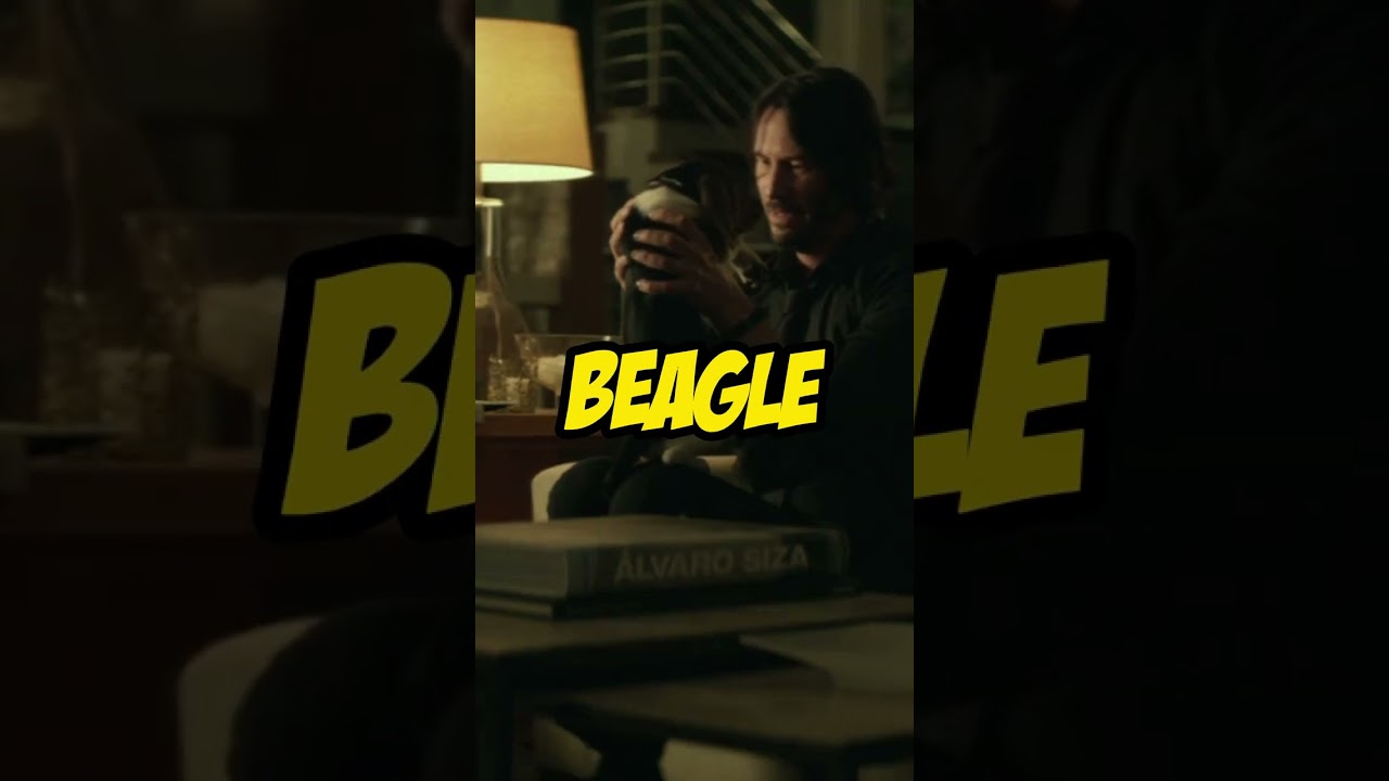 The puppy that changed John Wick's life forever