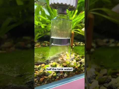 Electric Gravel Cleaner For your Aquarium