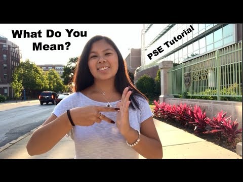 What Do You Mean Sign Language Tutorial