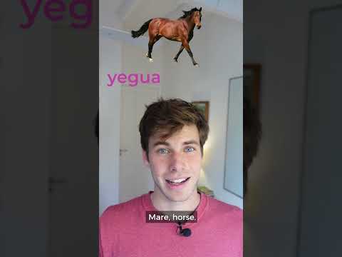 Discover the gender-specific names of animals in Spanish and expand your vocabulary. 🦁🐮🦌 #spanish