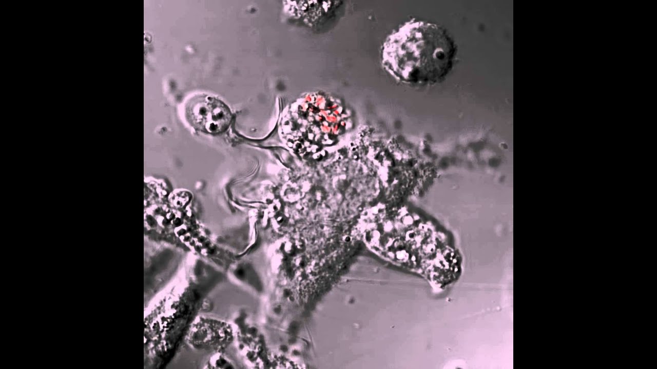 Feb 05 2015 THP1 Series014