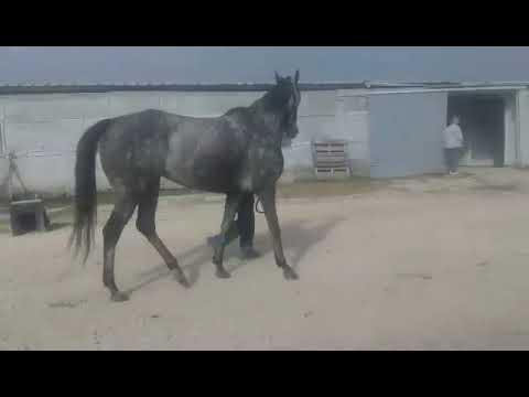 video 8a6f2539 ee37 4e6f 85ca c84e14520c8c 1664633586