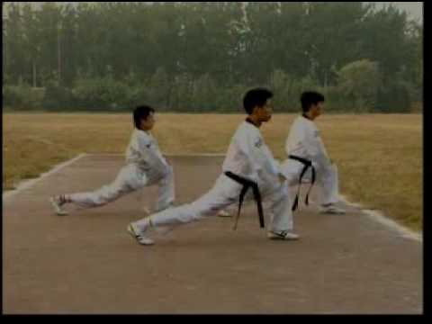 Taekwondo Warm-Up Exercises | MTBsg