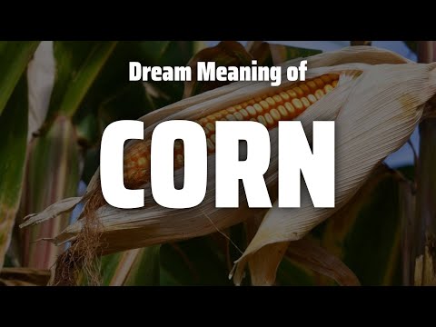 Corn Dream Meaning & Symbolism