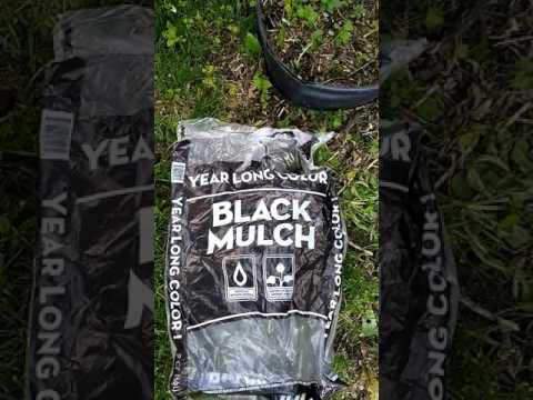 Black Mulch is Great. Review