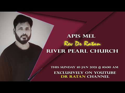 Apis Mellifica | Dr Ratan | Homeopathic medicine | Rophe Homeo Care