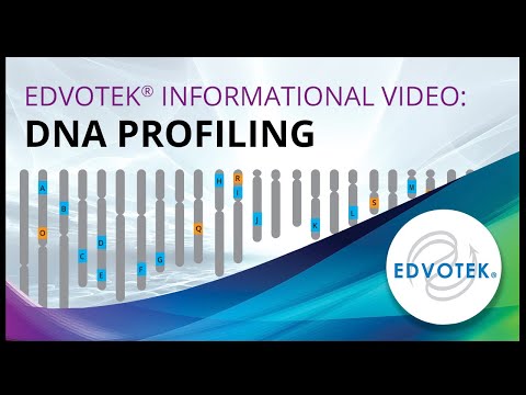 Edvotek Informational Video: DNA Profiling