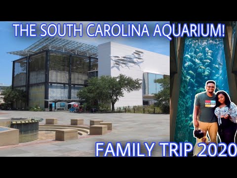 The South Carolina Aquarium in Charleston | Things To Do In Charleston | Family Trip 2020 |