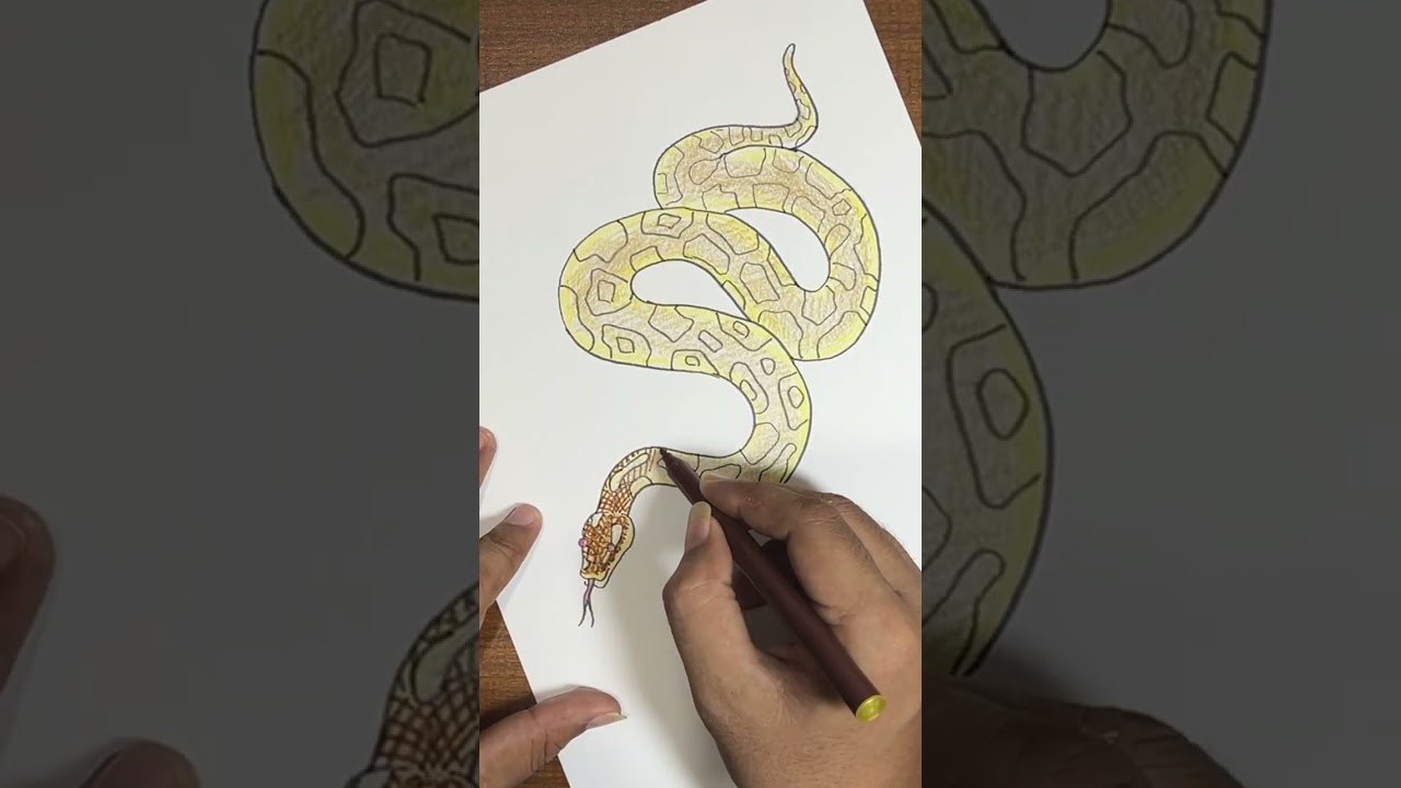 How to draw python snake jungle and coloring drawing art #begineers #easy #creative #howto #learn