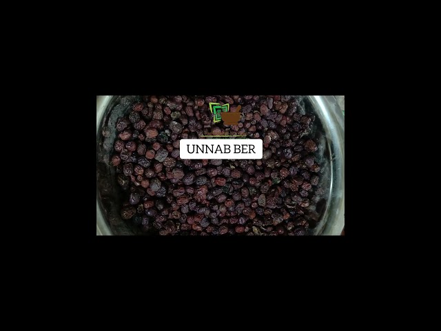 Herbal Products - Organic Bhimseni Kapoor Trader - Wholesaler ...