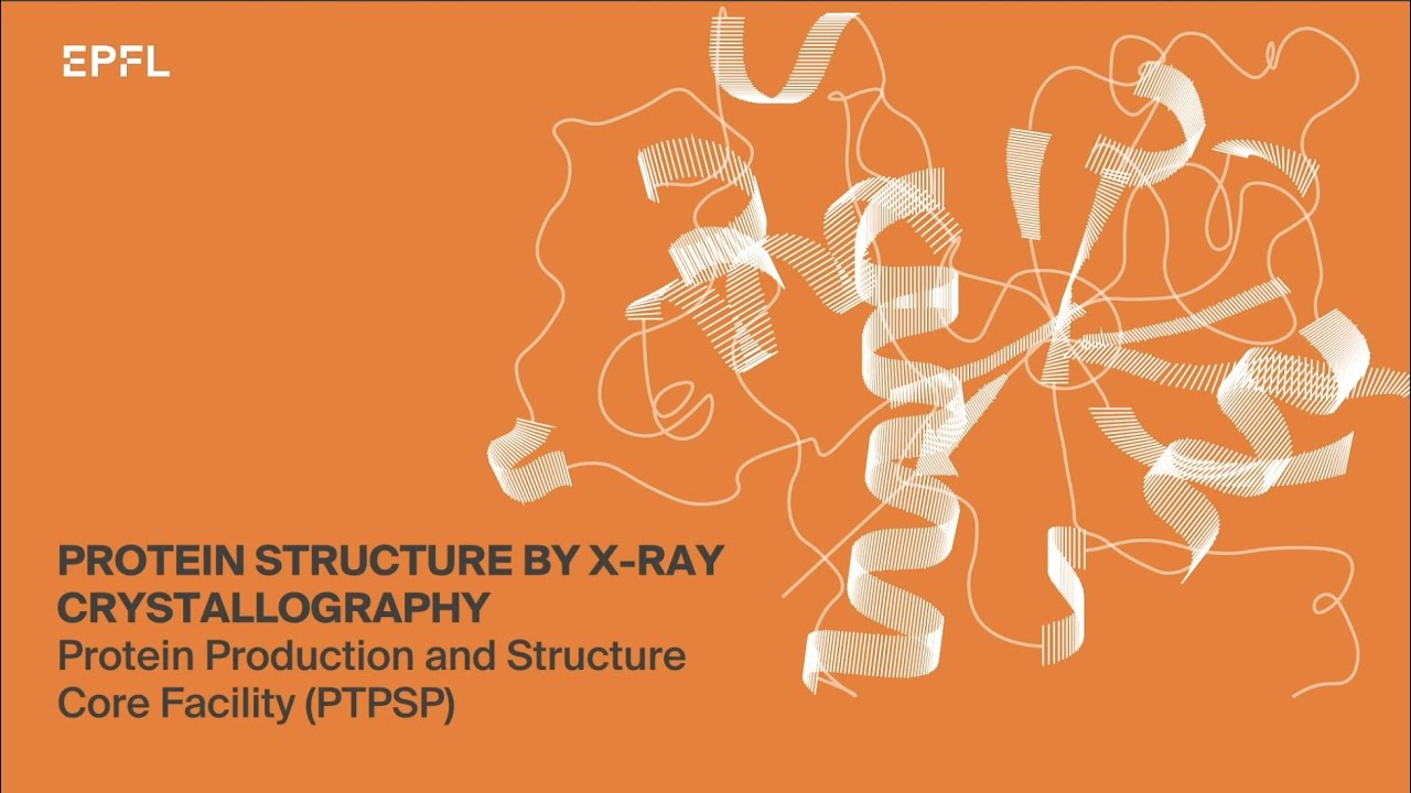 Protein structure by X-ray crystallography