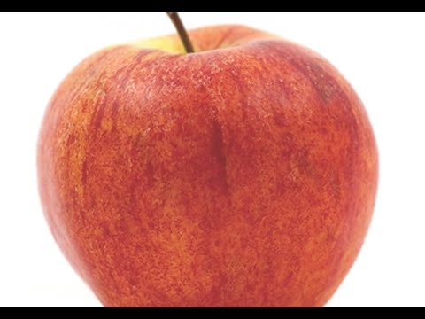 All About the Gala Apple! Episode #7 Central - The FruitGuys