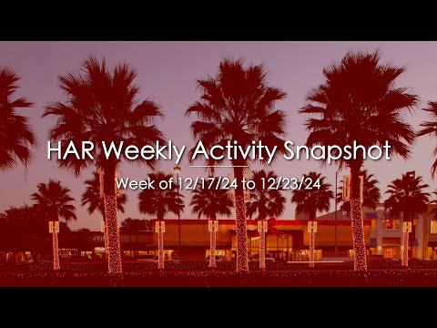 Weekly Activity Snapshot - 12/17/2024 to 12/23/2024
