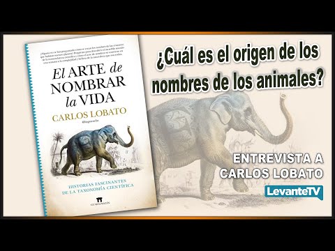 CVED - ¿Cuál es el origen de los nombres de los animales?