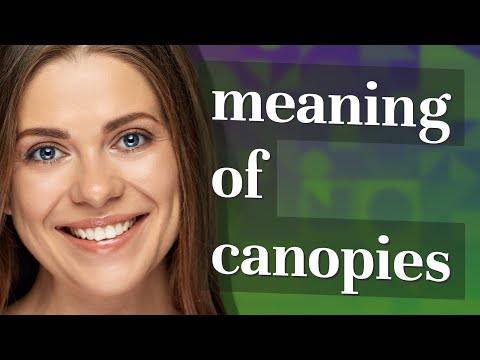 Canopies | meaning of Canopies