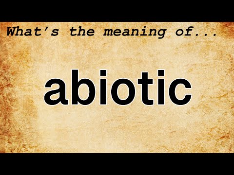 Abiotic Meaning : Definition of Abiotic