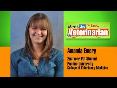 Meet the Future Veterinarian - Amanda Emery