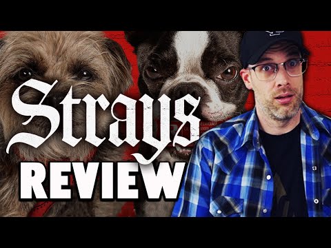 Strays - Review