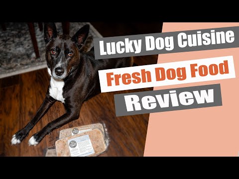 Lucky Dog Food Review