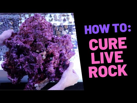 Curing Live Rock: Step by Step