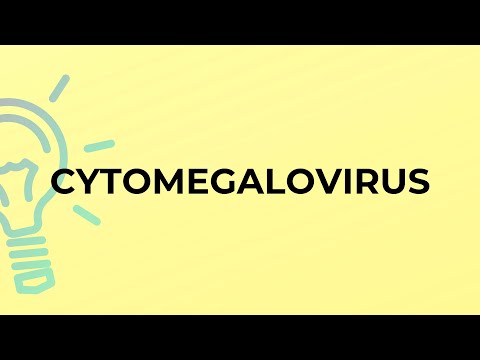 What is the meaning of the word CYTOMEGALOVIRUS?