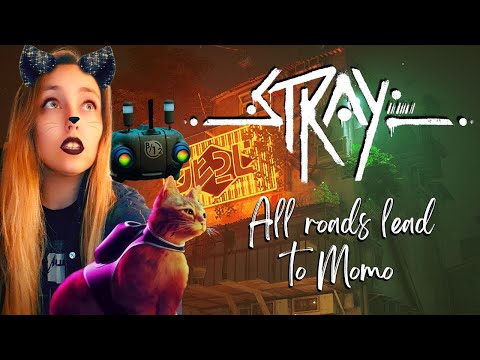 Steam Community :: Video :: Stray: All Signs Point to Momo - Part 2 ...