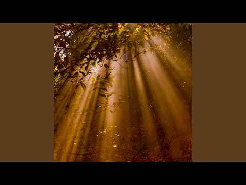 Silent (Noise)