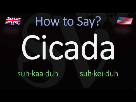 How to Pronounce Cicada? British Vs American Pronunciation (+ Spanish)
