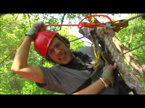 Friction | Fast Forward Teachable Moments