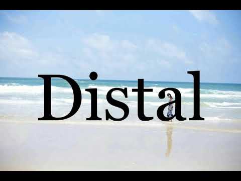 How To Pronounce Distal🌈🌈🌈🌈🌈🌈Pronunciation Of Distal