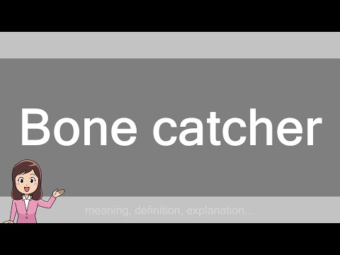 Bone catcher