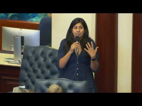 Rep. Eskamani Debates Parts of Florida House's Tax Package
