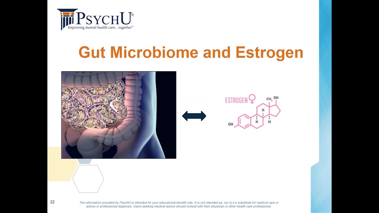 The Interplay between the Gut Microbiome, Inflammation, Reproductive Hormones, and Mood Disorders