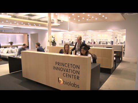 A new tech incubator opens its doors
