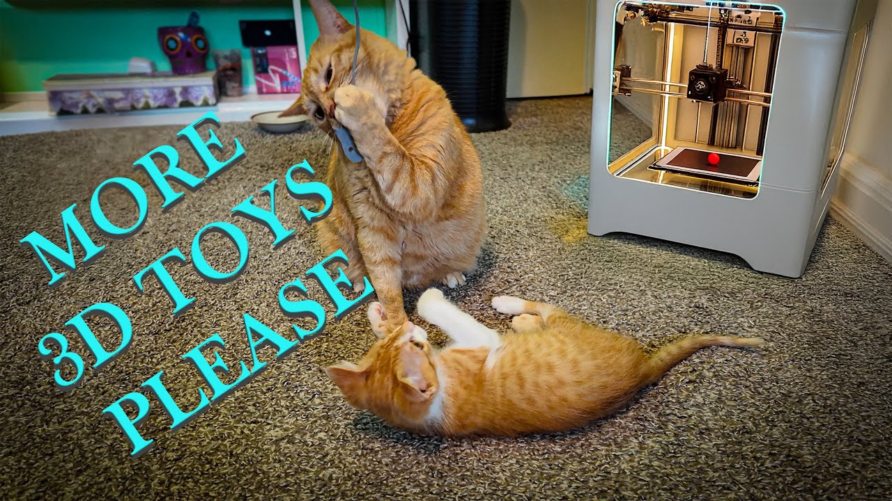 We Rated These 3D Printed Cat Toys